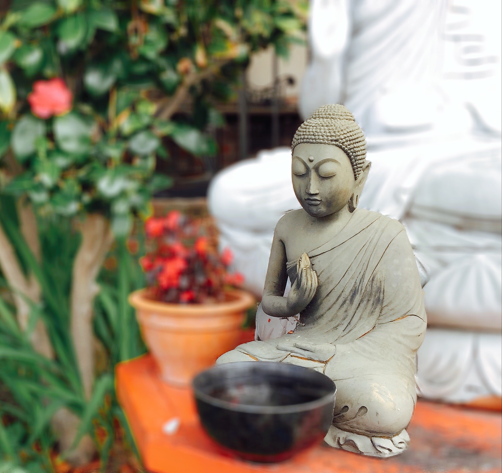 The Meaning of Metta | Berkeley Buddhist Priory